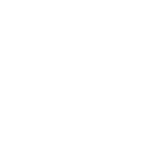 How the Mind Evolved: From Primitive Brain to Self-Awareness | Mind Origins