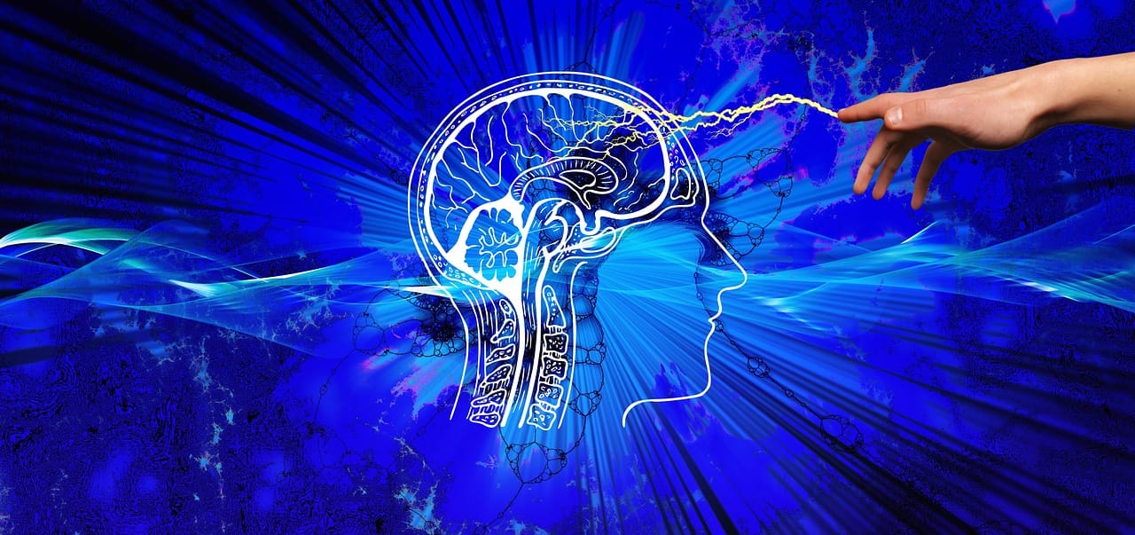 Brain Challenge: 89% Fail These 7 Cognitive Games | Mind Origins